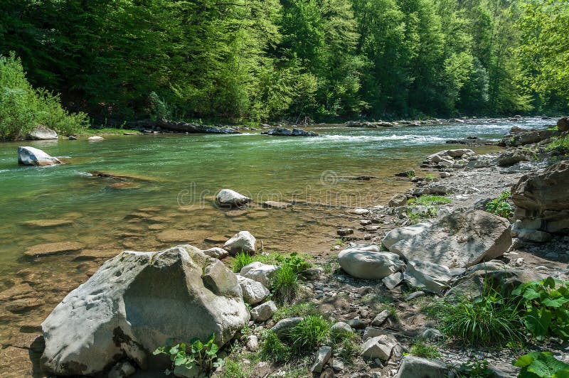 Mountain Landscape, Forest and Fast Mountain River. Beautiful Scenery ...