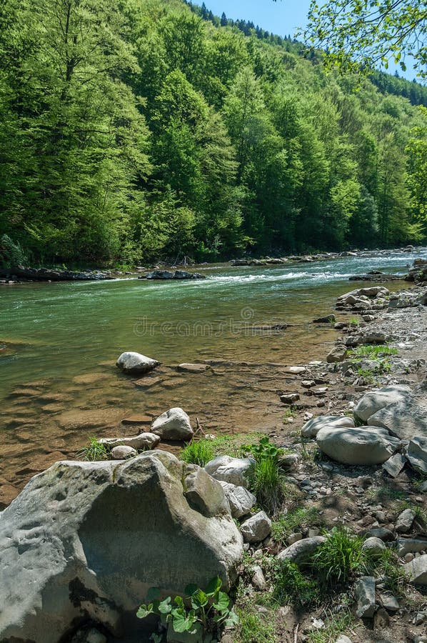Mountain Landscape, Forest and Fast Mountain River. Beautiful Scenery ...