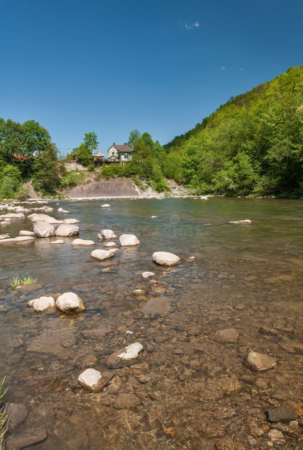 Mountain Landscape, Forest and Fast Mountain River. Beautiful Scenery ...