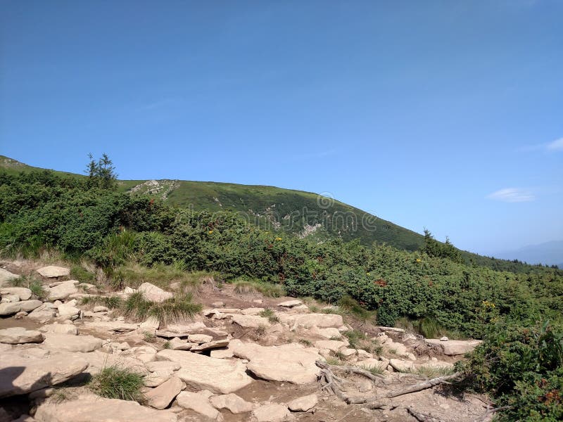 Mountain Landscape and Forest Horizontal Color Photo Stock Photo ...