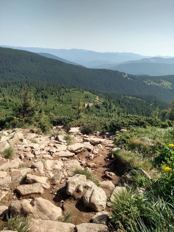 Mountain Landscape and Forest Vertical Color Photo Stock Photo - Image ...