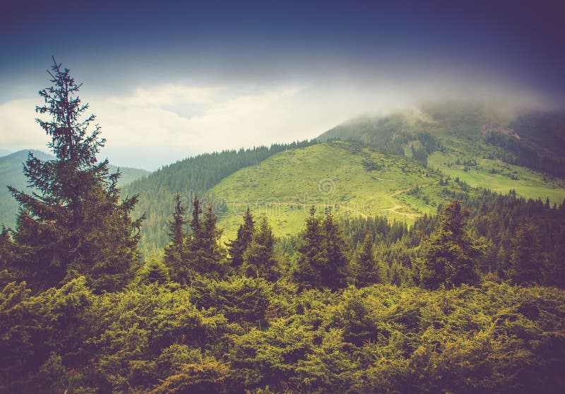 Mountain Landscape and Forests Tops Covered with Mist. Dramatic ...