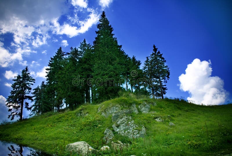 Mountain Landscape - Green Grass, Trees and Sky Stock Image - Image of ...