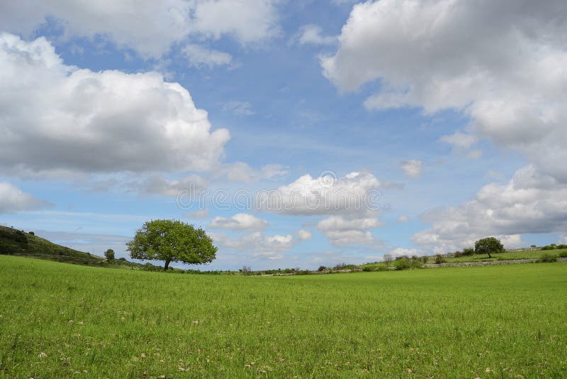 Mountain Landscape - Green Planet - Earth - Panorama Stock Image ...