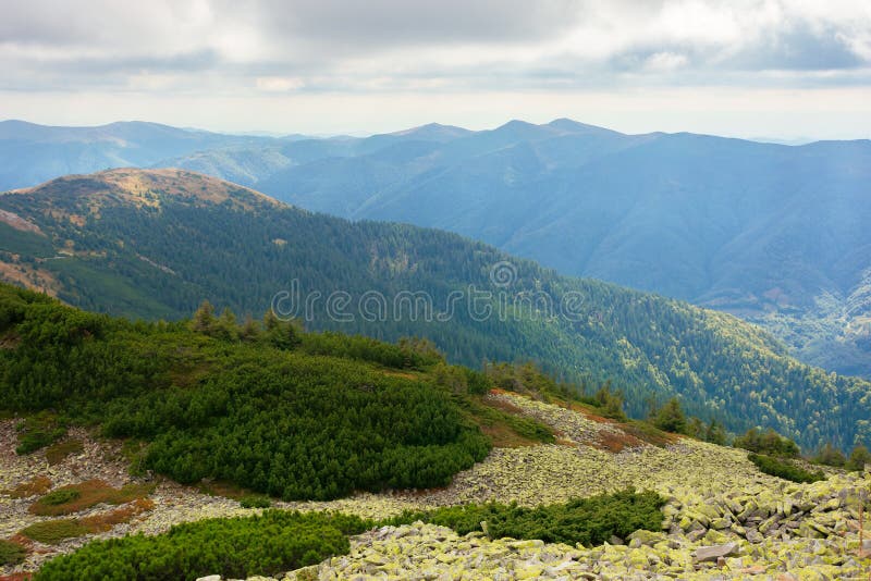 172 Krasna Ridge Stock Photos - Free & Royalty-Free Stock Photos from ...