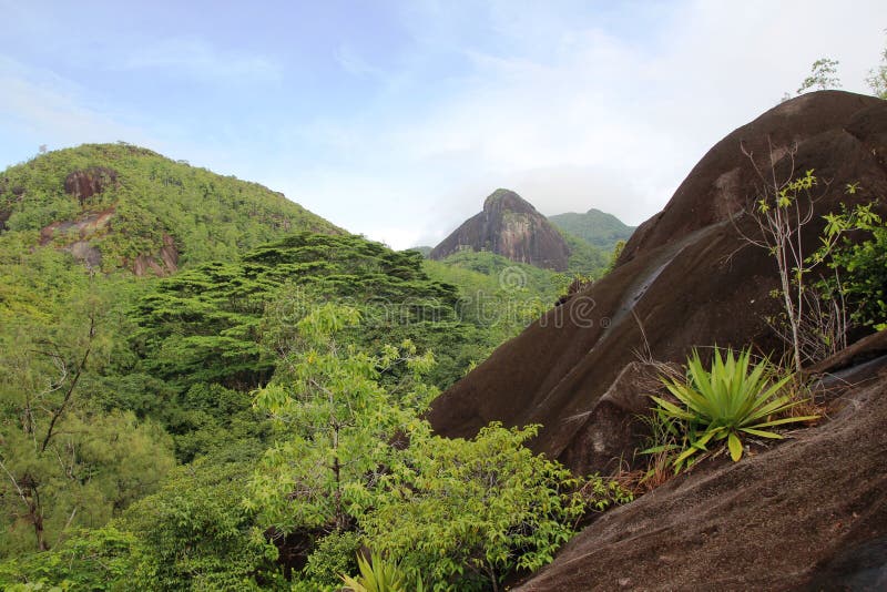 Mountain Landscape. Green Tropical Trees on the Mountain Slopes. Stock ...