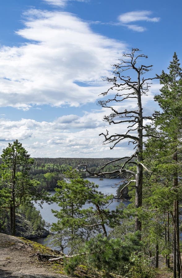 Mountain Landscape in Lapland Finland Stock Image - Image of finland ...