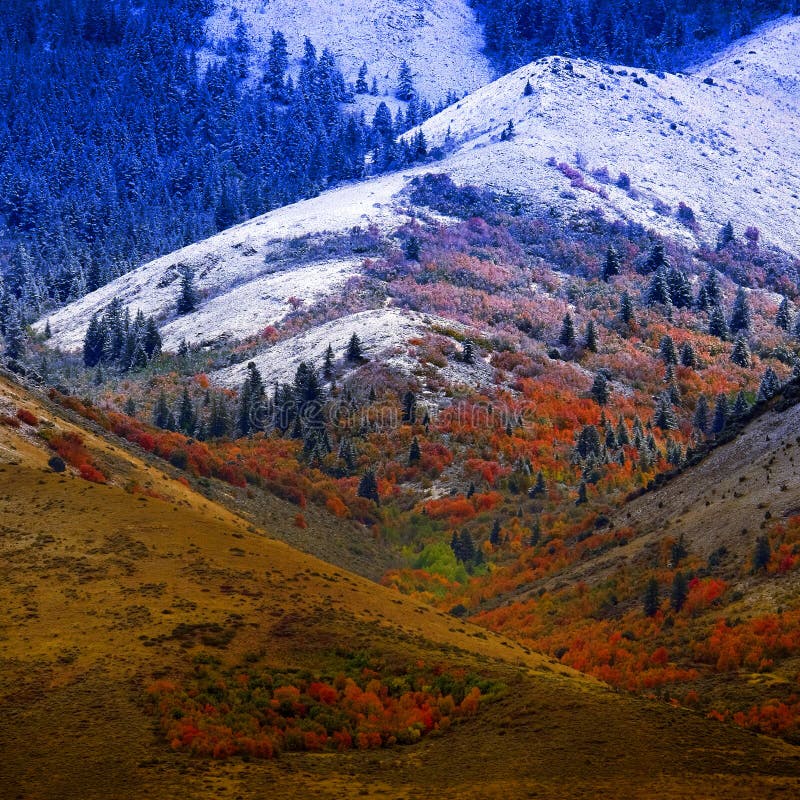 Mountain Landscape in Late Fall with Autumn Colors and First Snow Stock ...