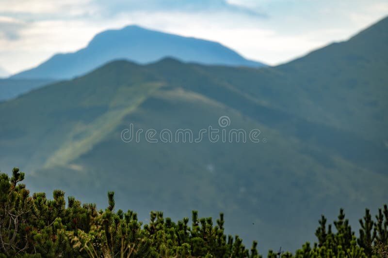 Mountain Landscape with Layers of Distant Blue Peaks and Green Shrubs ...