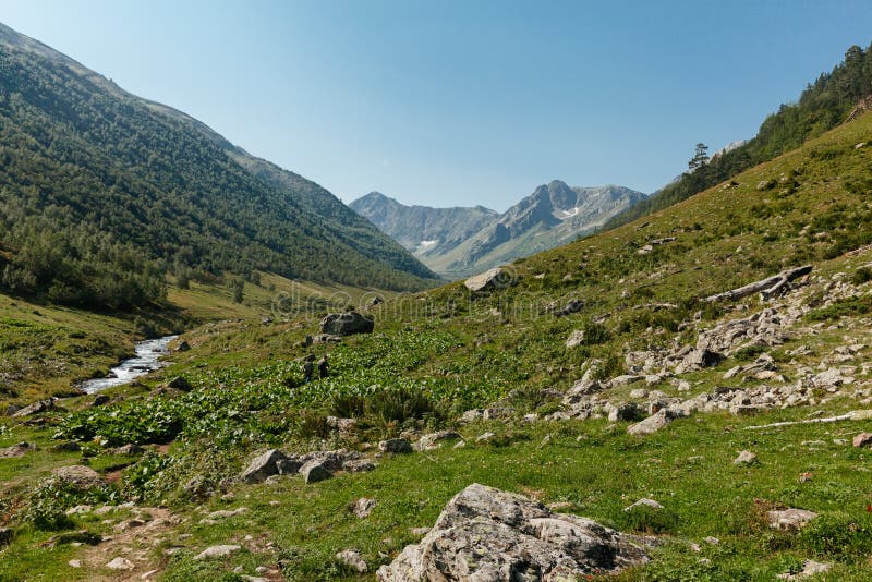 Mountain Landscape. Landscape with Mountains, Forest and River in Front ...