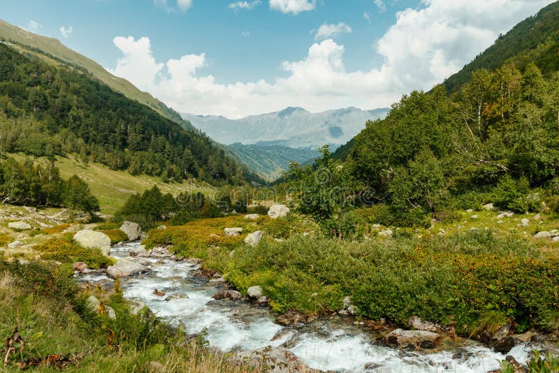 Mountain Landscape. Landscape with Mountains, Forest and River in Front ...