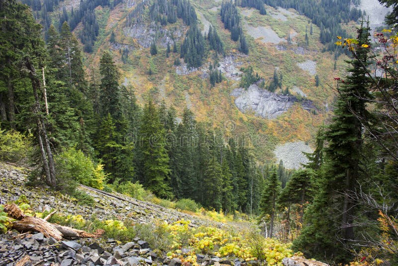 Mountain landscape stock photo. Image of seattle, mountain - 79476660