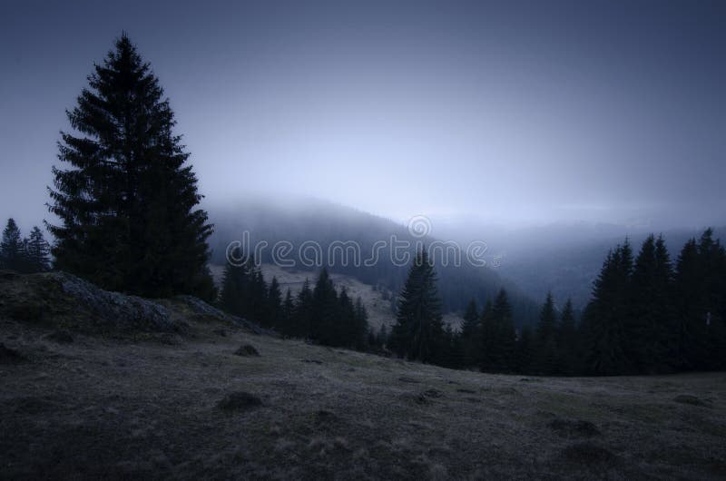 Mountain Landscape at Night with Fog and Trees Stock Image - Image of ...