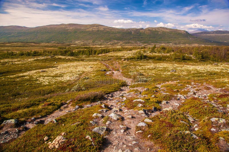 Mountain Landscape Norway National Park Dovre Stock Image - Image of ...