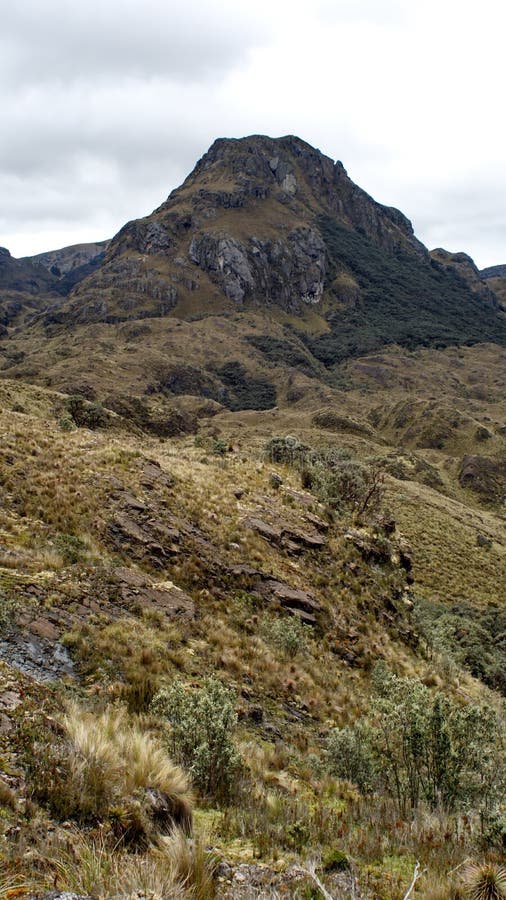 Mountain Landscape in the Paramo Stock Image - Image of landscape ...