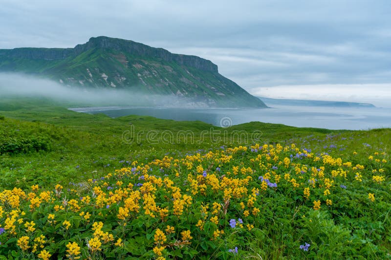 Mountain Landscape at Paramushir Island, Kuril Islands, Russia Stock ...