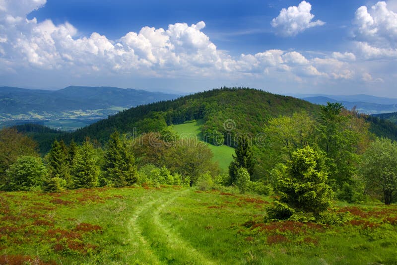 Mountain Landscape with Path Stock Photo - Image of marvelous ...