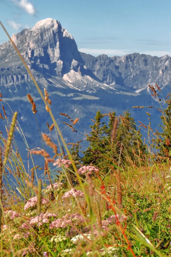 Mountain landscape stock photo. Image of issues, corones - 340333808