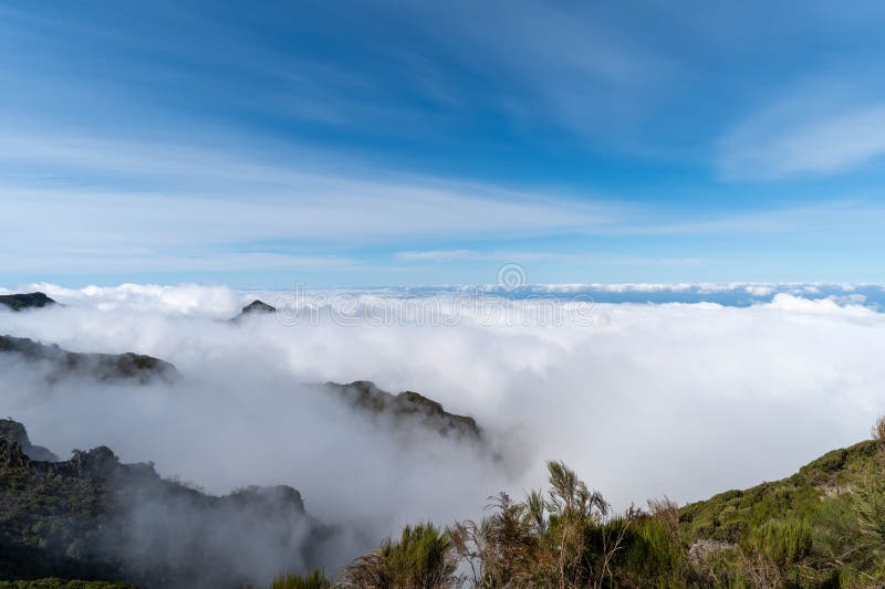 Mountain Landscape with Peaks Covered in Clouds and Lush Greenery in ...