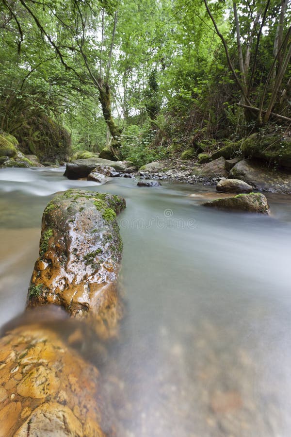 Mountain Landscape with River, Cantabia, Spain Stock Image - Image of ...