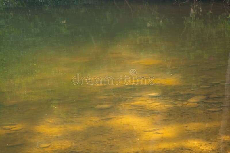 River Details and Water Texture Stock Photo - Image of forest, life ...