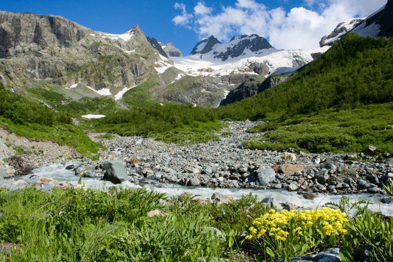 Mountain Landscape with River and Flowers Stock Photo - Image of river ...