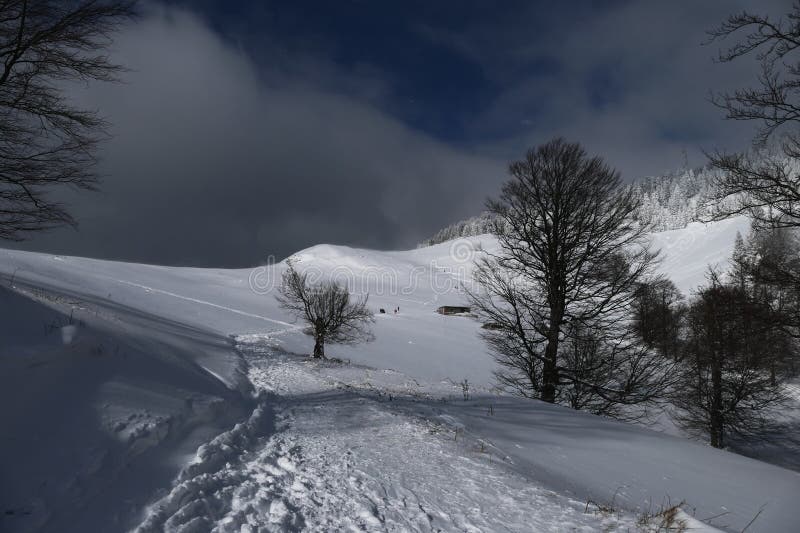 A Path that Leads To a Snowy Meadow Stock Image - Image of alps, ridge ...