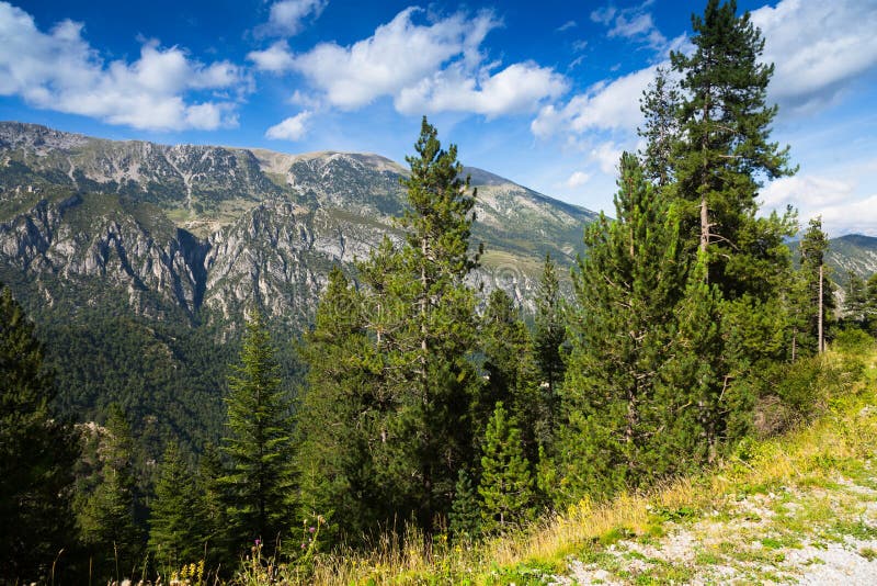 Mountain Landscape in Sunny August Day Stock Photo - Image of august ...