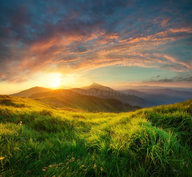 Mountain Landscape in Summertime during Sunset. Blossoming Alpine ...