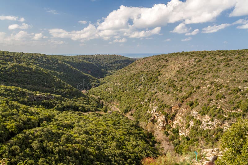 Mountain Landscape, Upper Galilee in Israel Stock Image - Image of ...