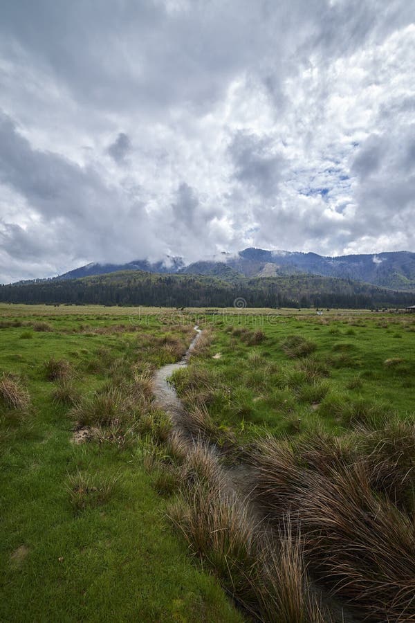 Mountain Landscape with Vegetation on a Cloudy Day Stock Image - Image ...