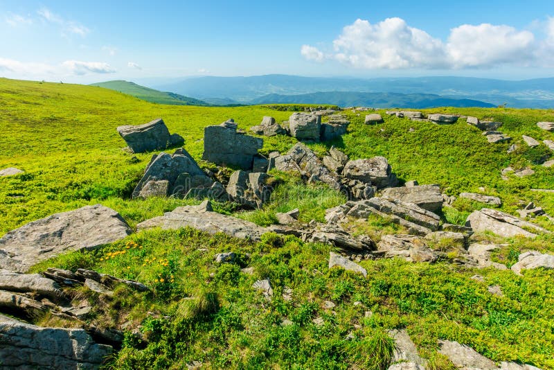 Stones on the hillside stock image. Image of rock, grass - 42006909
