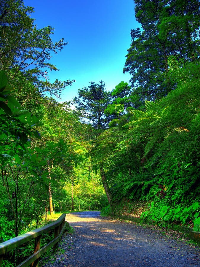 50,372 Sunny Lane Stock Photos - Free & Royalty-Free Stock Photos from ...