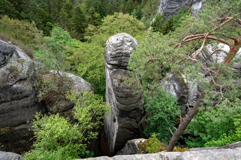 A Mountain with a Large Rock in the Middle and Trees Surrounding it ...