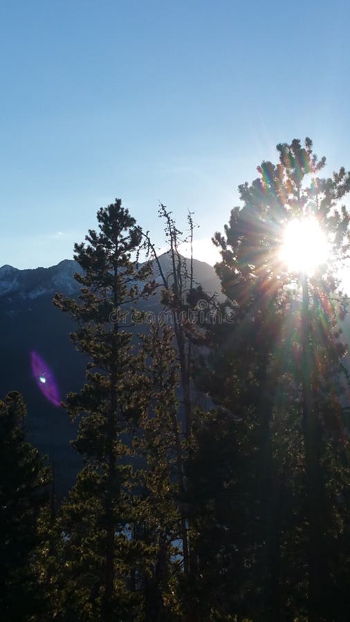 Mountain Life stock image. Image of life, views, rocky - 82916809