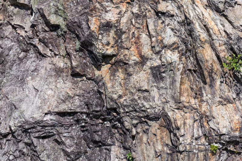 Mountain limestone rocks stock image. Image of fossil - 296372119