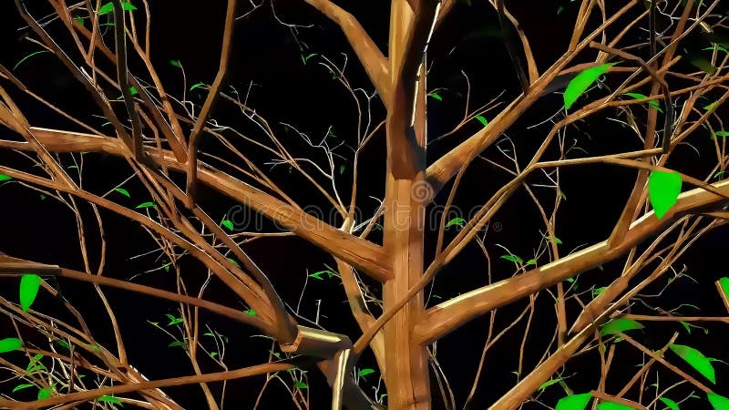 Mountain Maple Tree Botanical Digital Stock Image - Image of garden ...