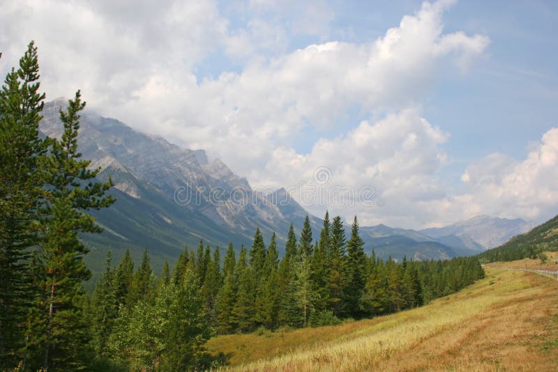 Mountain Meadow stock image. Image of conifers, alberta - 1302175