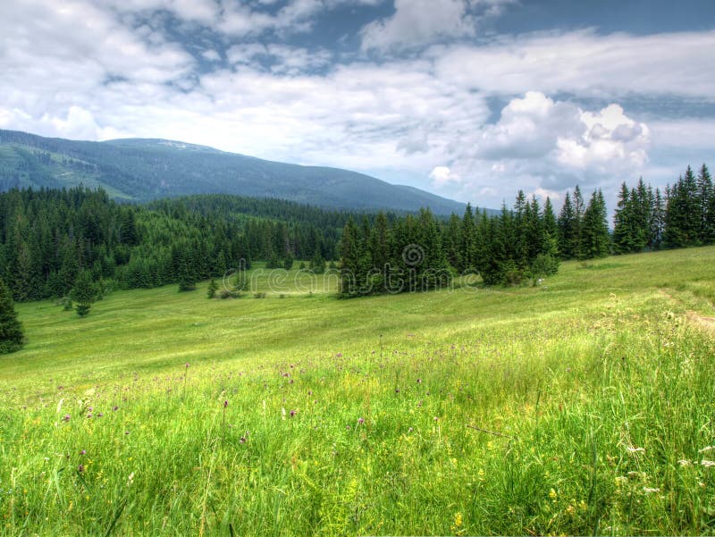 Mountain meadow stock image. Image of mountain, hora - 26291277