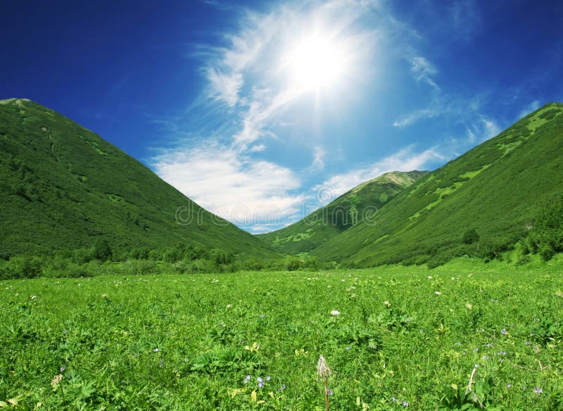 Mountain meadow stock photo. Image of spring, sunny, natural - 4312408