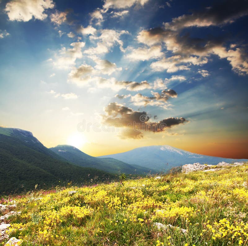 Mountain meadow stock image. Image of green, sunny, hills - 7892017