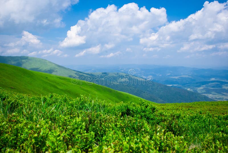 Mountain meadow stock image. Image of mountains, cloudes - 55455617