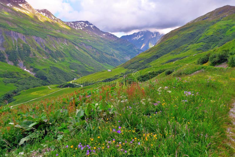 Mountain meadow stock image. Image of flowing, north, meadow - 1134725