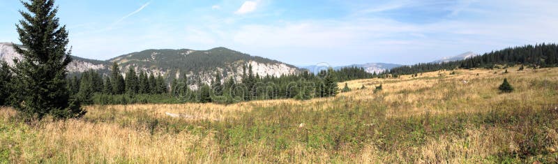 Mountain Meadow in Rax Alps Stock Image - Image of meadow, scenic: 11312189