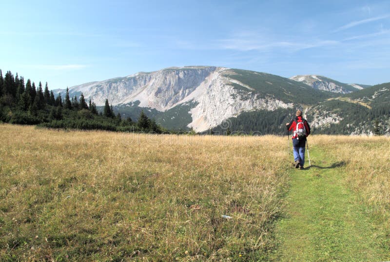 Mountain Meadow in Rax Alps Stock Image - Image of meadow, hiking: 11688391