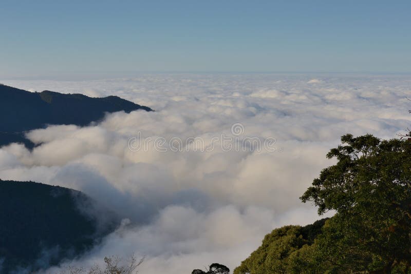 Mountain mist and clouds stock image. Image of forest - 241087893