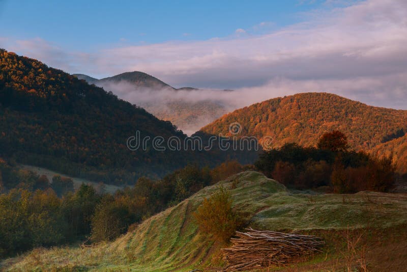 Mountain Mist Morning Mist Over Woodland Forest Stock Photo - Image of ...