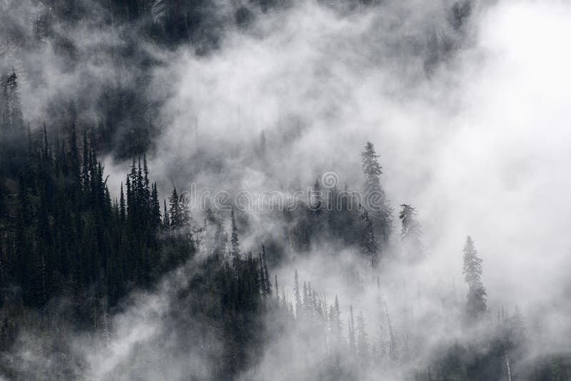 Mist Rising in Mountains after Storm Stock Photo - Image of park, foggy ...