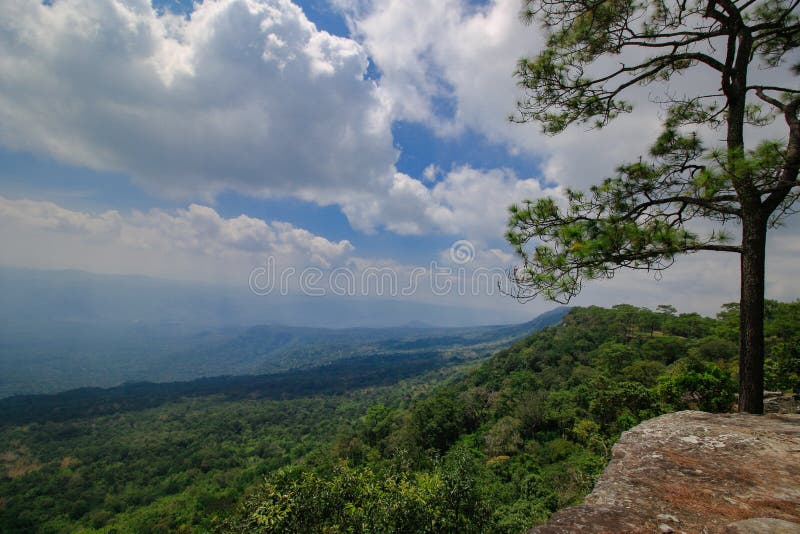 Mountain stock image. Image of nature, tree, lanscape - 130388817