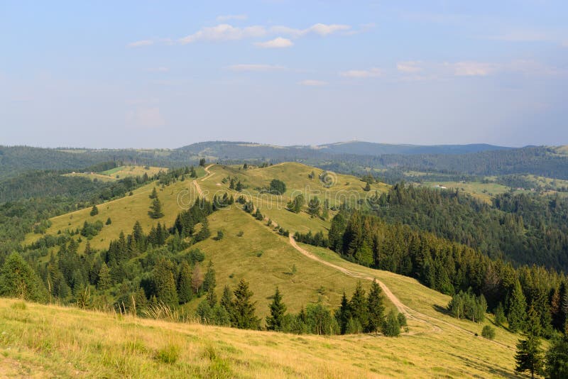 Mountain Nature Trail among Meadows and Forest Landscape Stock Image ...